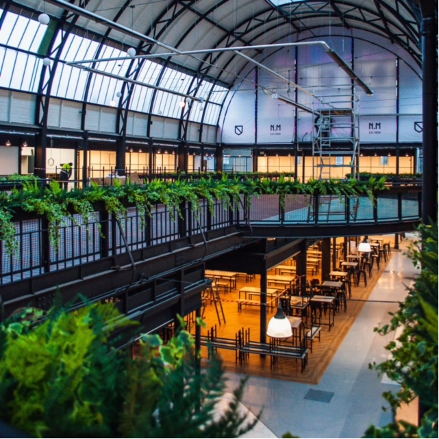 Resin Solution for Large Scale Retail Regeneration - TPS360